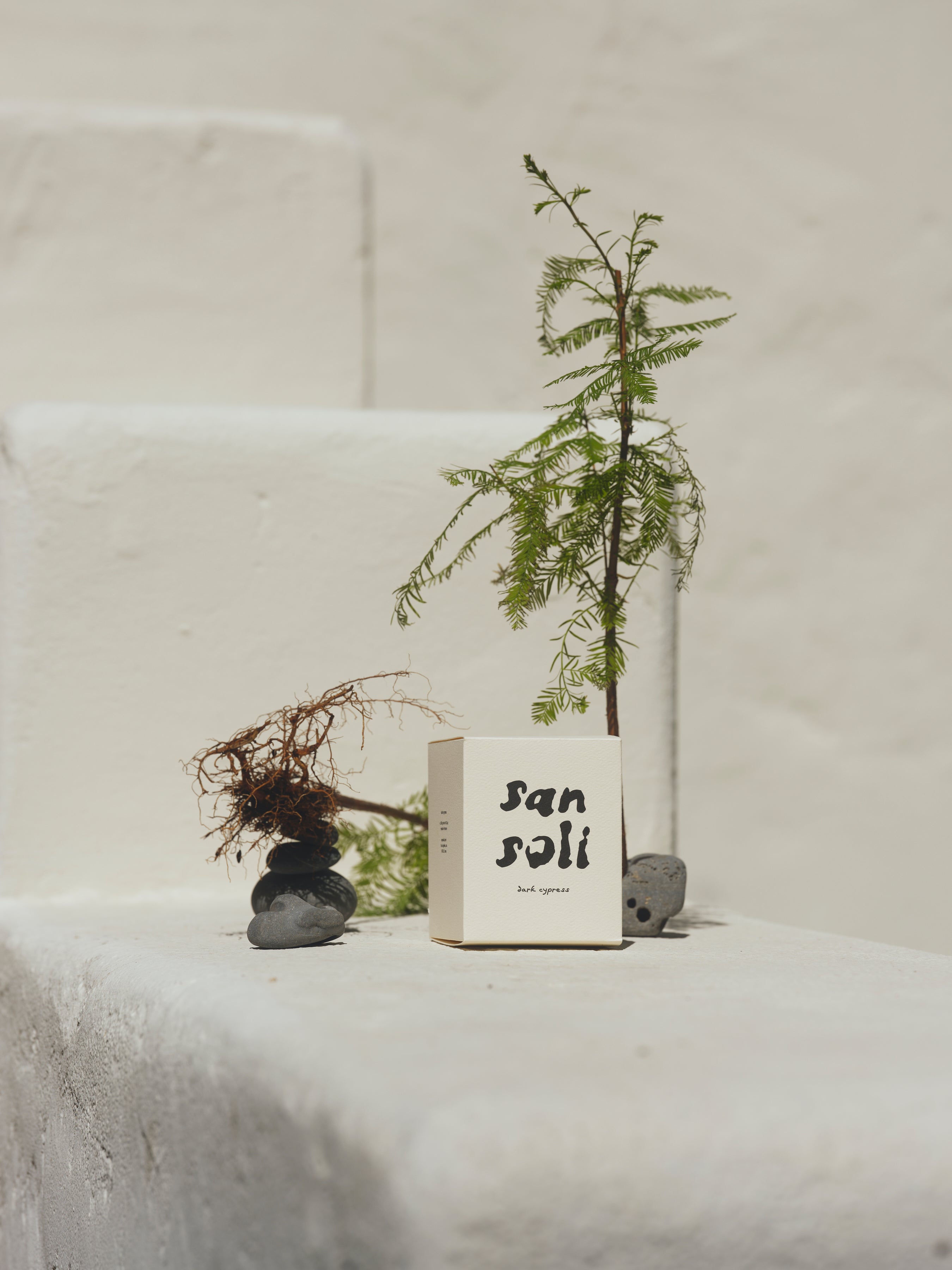 Dark Cypress – San Soli Fragrances